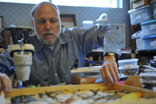 Consulting, law cases,